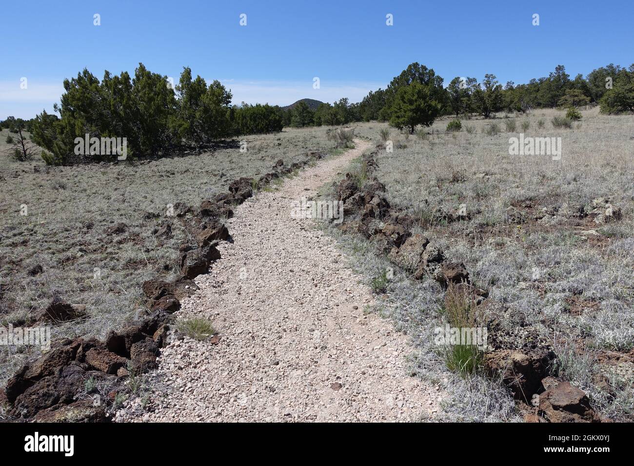 The dried arid lands of the South West offer a glimpse into natures ...