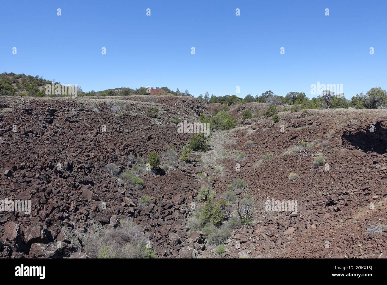 The dried arid lands of the South West offer a glimpse into natures ...