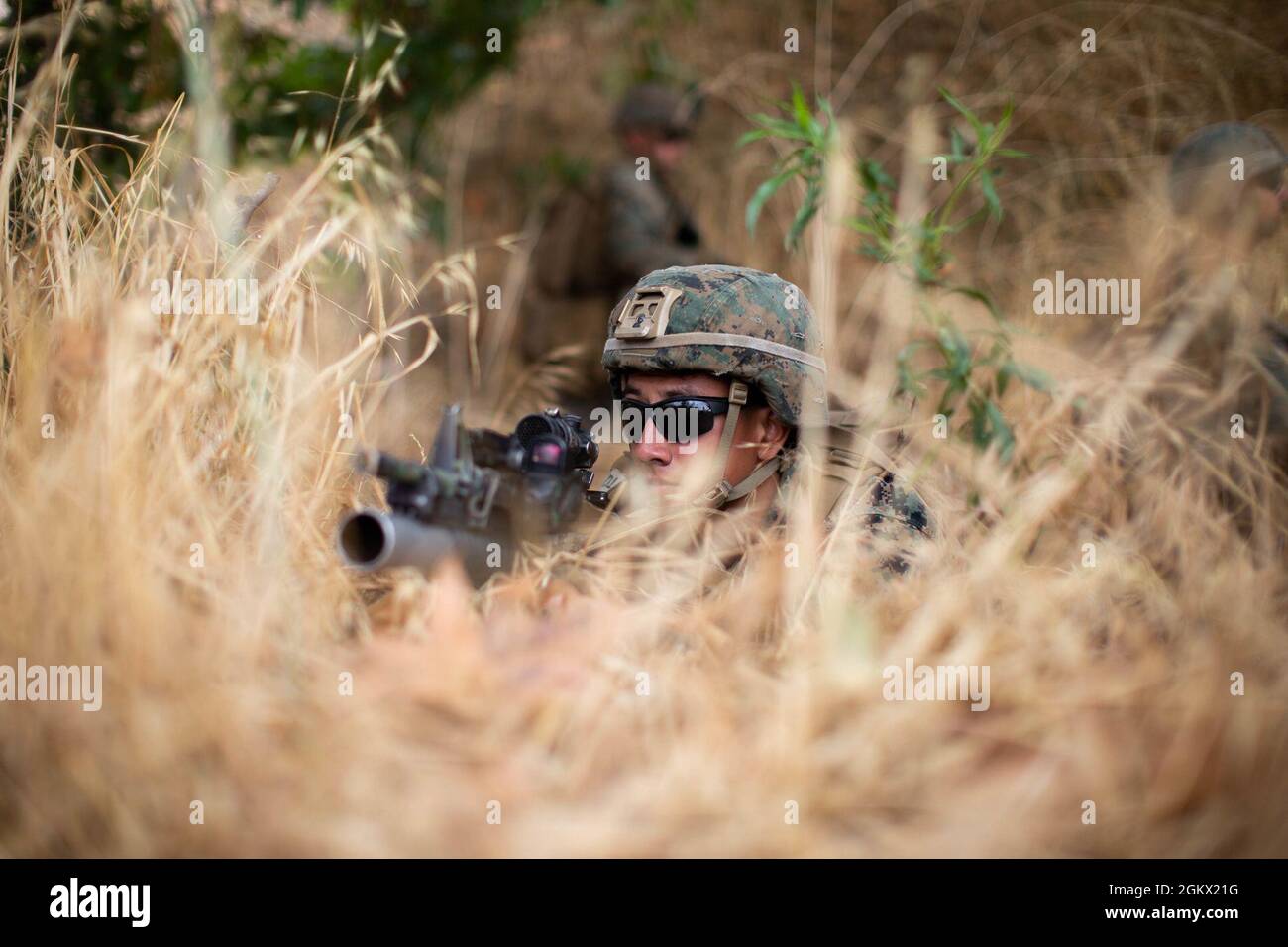 A U.S. Marine with Co. A, 1st Light Armored Reconnaissance Battalion ...