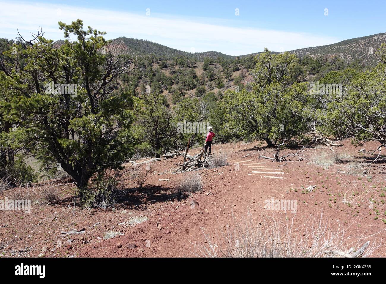 The dried arid lands of the South West offer a glimpse into natures ...