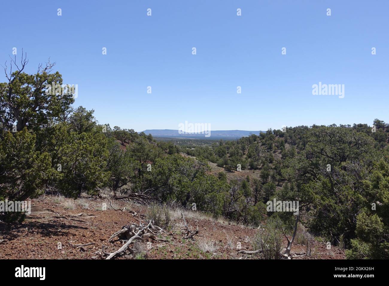 The dried arid lands of the South West offer a glimpse into natures ...