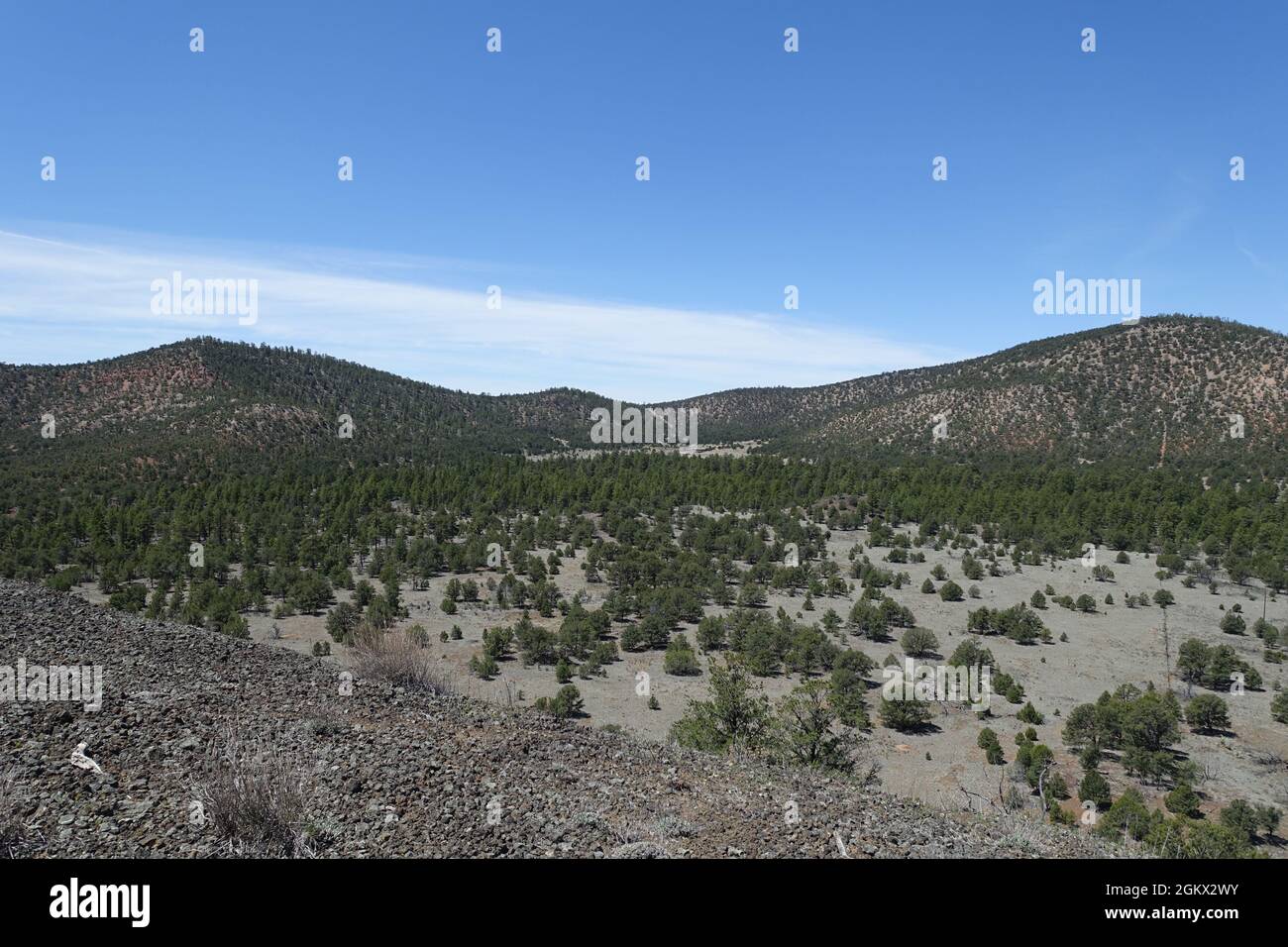 The dried arid lands of the South West offer a glimpse into natures ...