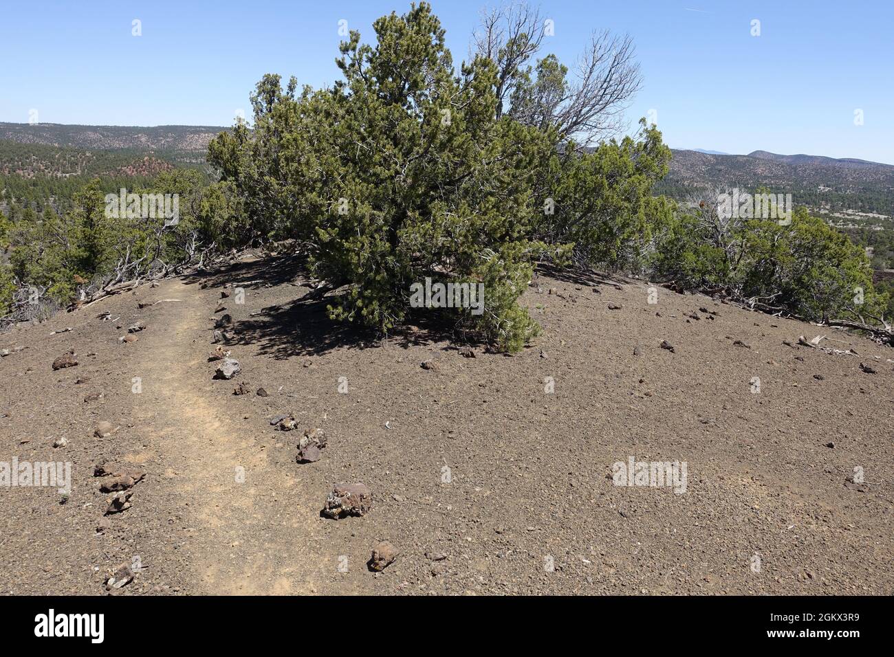 The dried arid lands of the South West offer a glimpse into natures ...