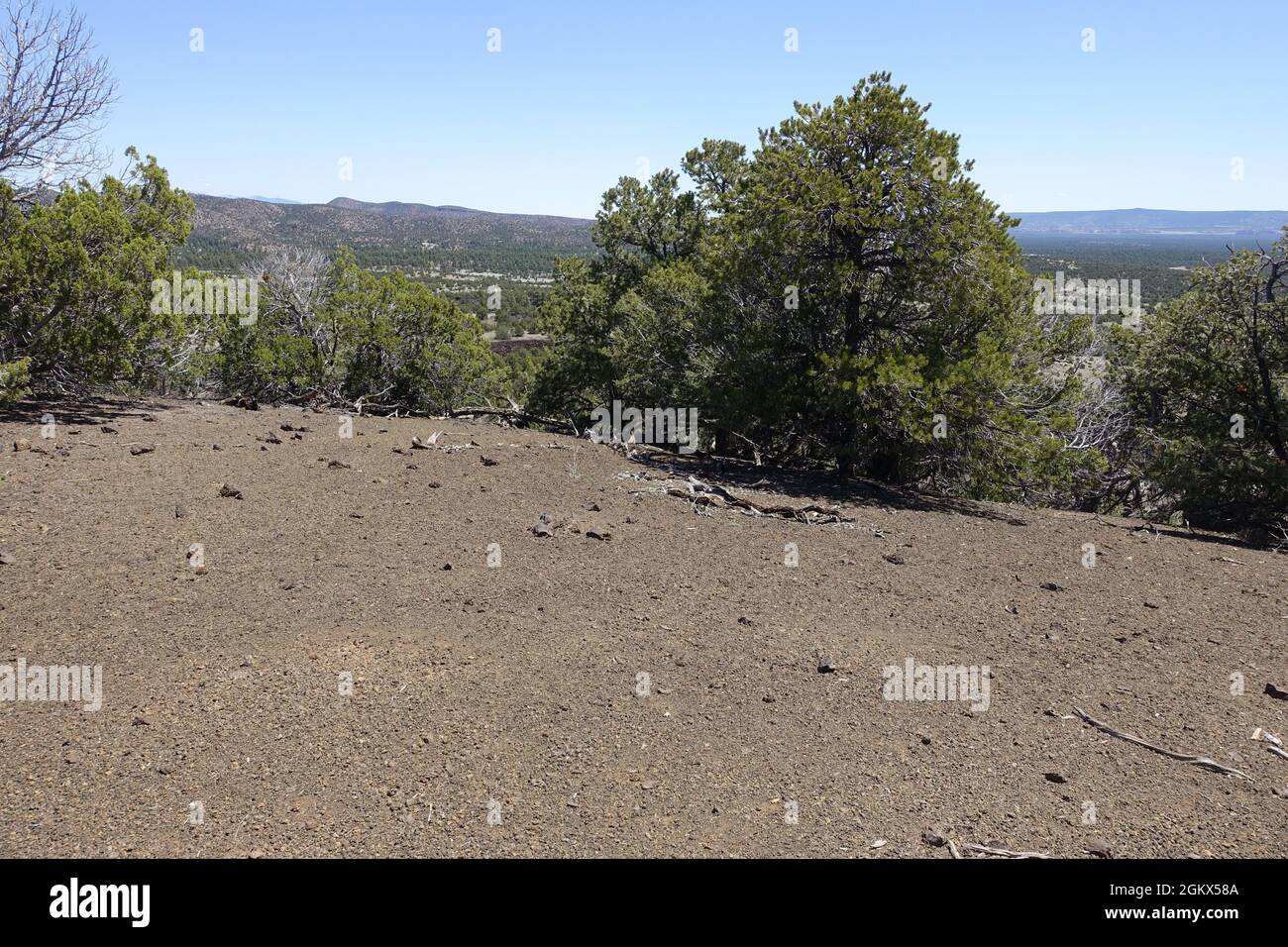 The dried arid lands of the South West offer a glimpse into natures ...