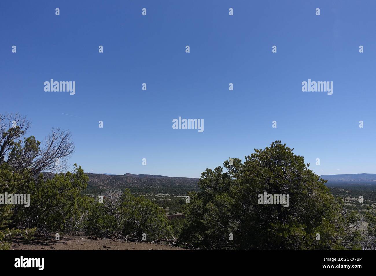 The dried arid lands of the South West offer a glimpse into natures ...