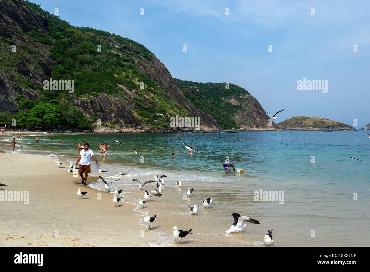 Fisherman carrying water in bucket by a group of birds in Itaipu Beach ...