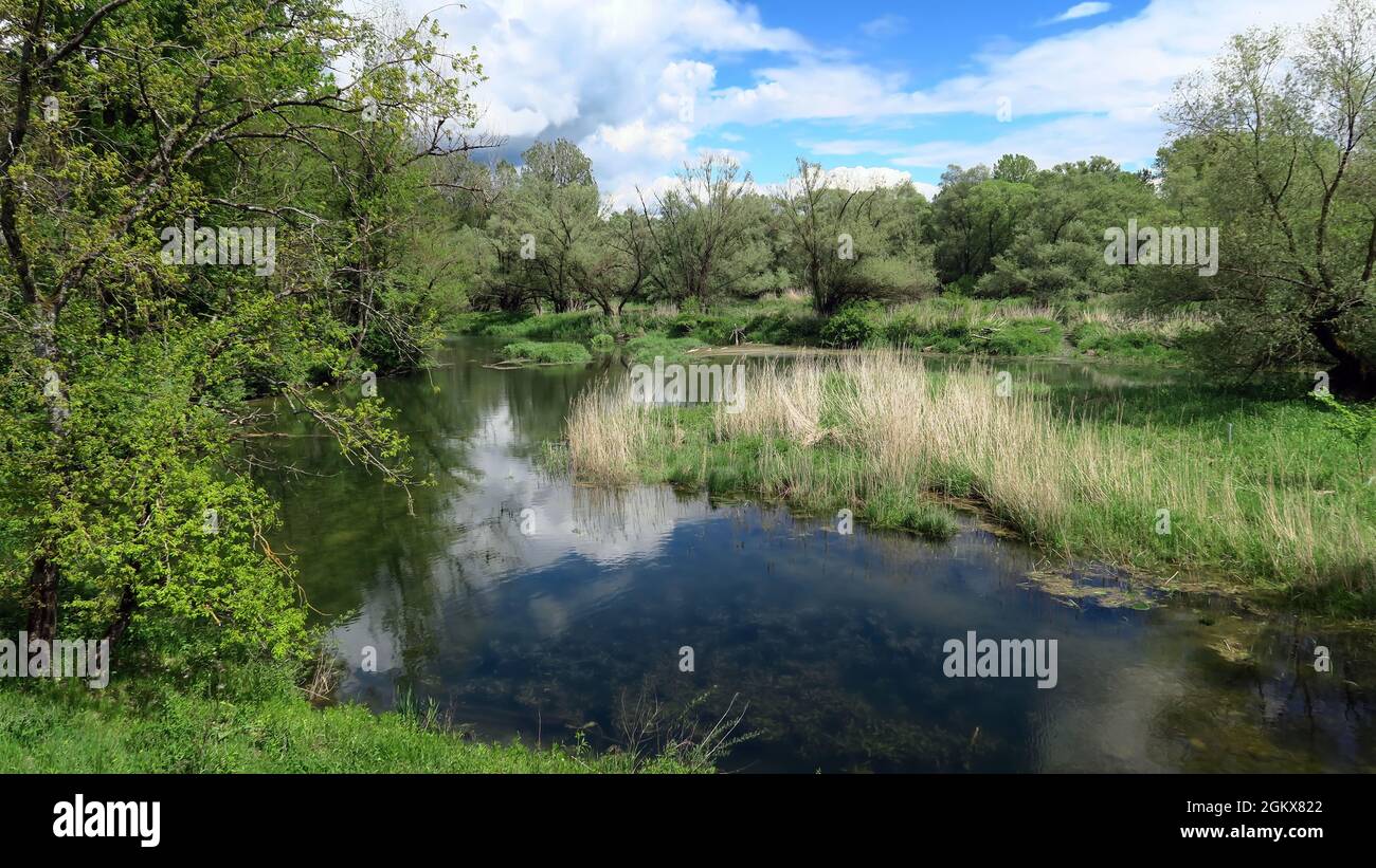 Naturgebiet an der Isar Stock Photo - Alamy