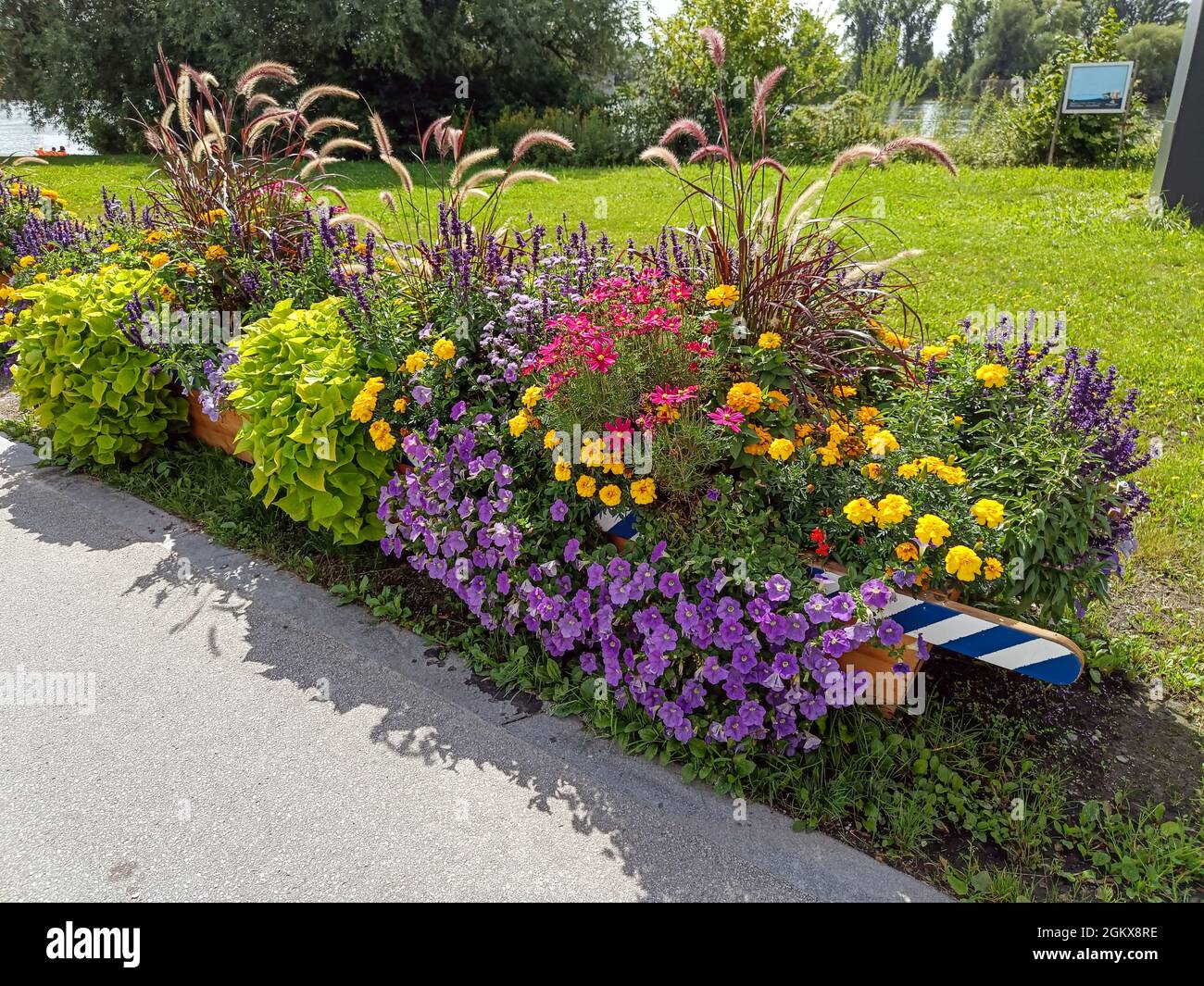 Blumenbeet im Stadtpark Stock Photo - Alamy