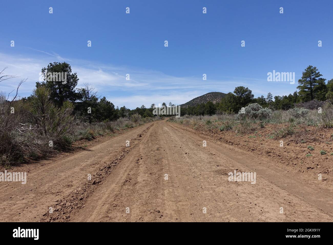 The dried arid lands of the South West offer a glimpse into natures ...