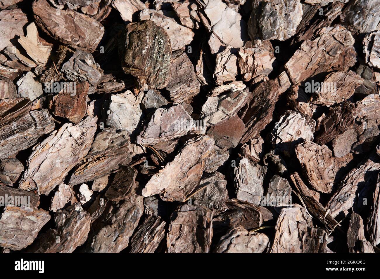 The texture of crushed tree bark on a close-up background. Crushed ...