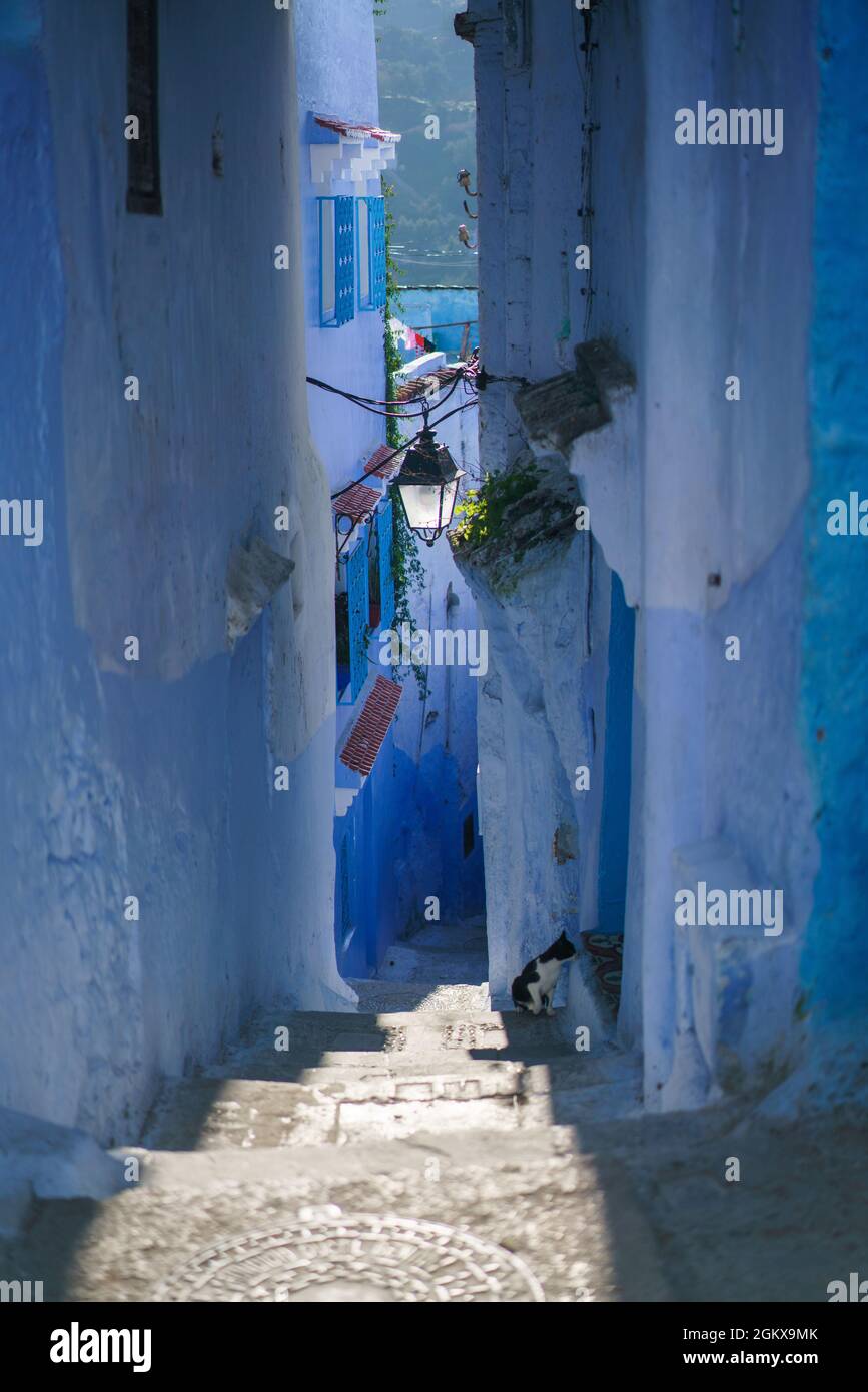 Street scene in the Chefchaouen, Morocco, Africa Stock Photo - Alamy