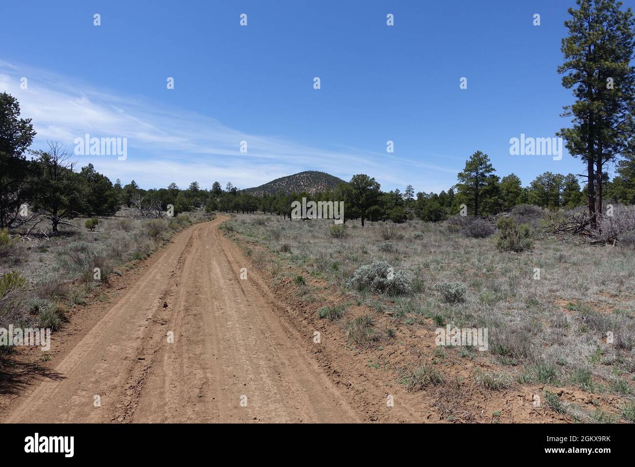 The dried arid lands of the South West offer a glimpse into natures ...