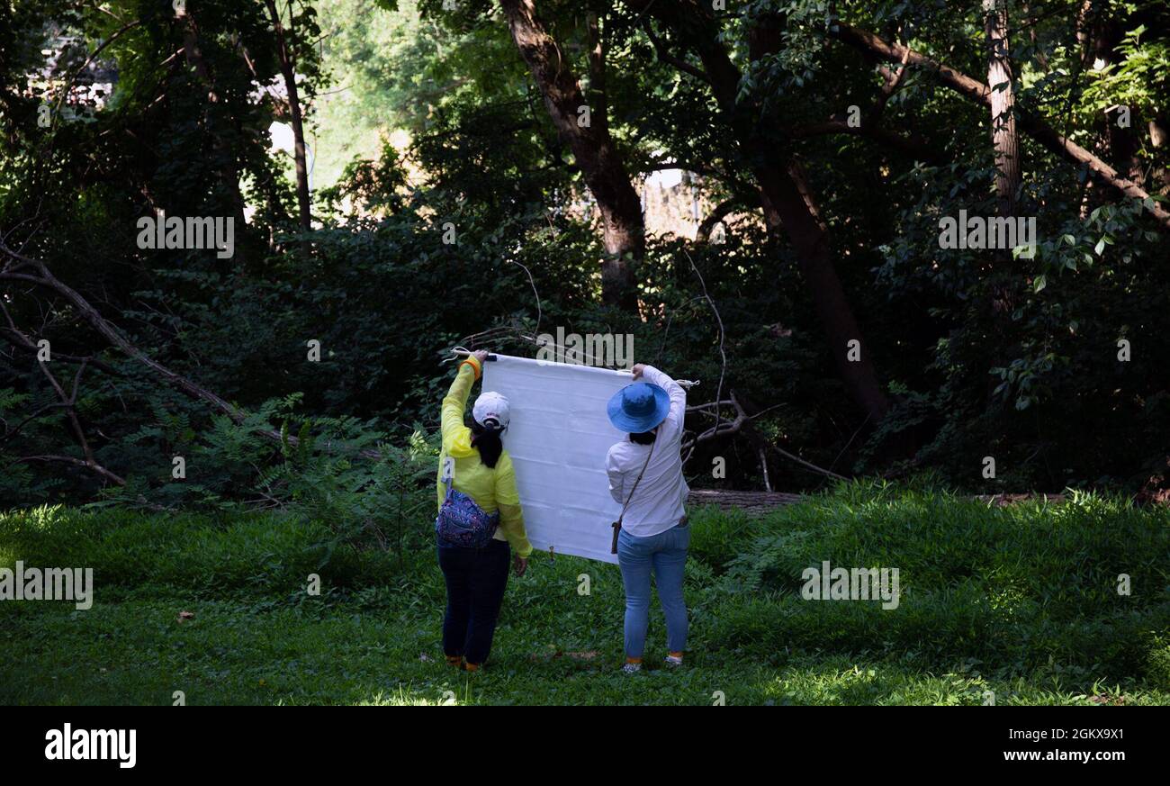 Left to right, Hsiao-Mei Liao and Suppaluck Nelson check their tick ...