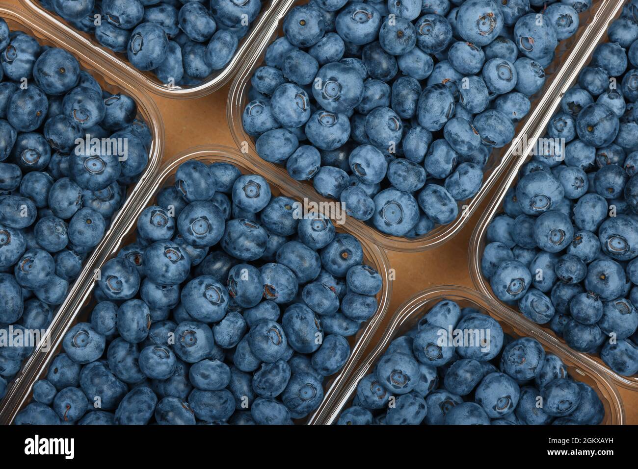 Close up several plastic containers of fresh ripe blueberry berries in ...