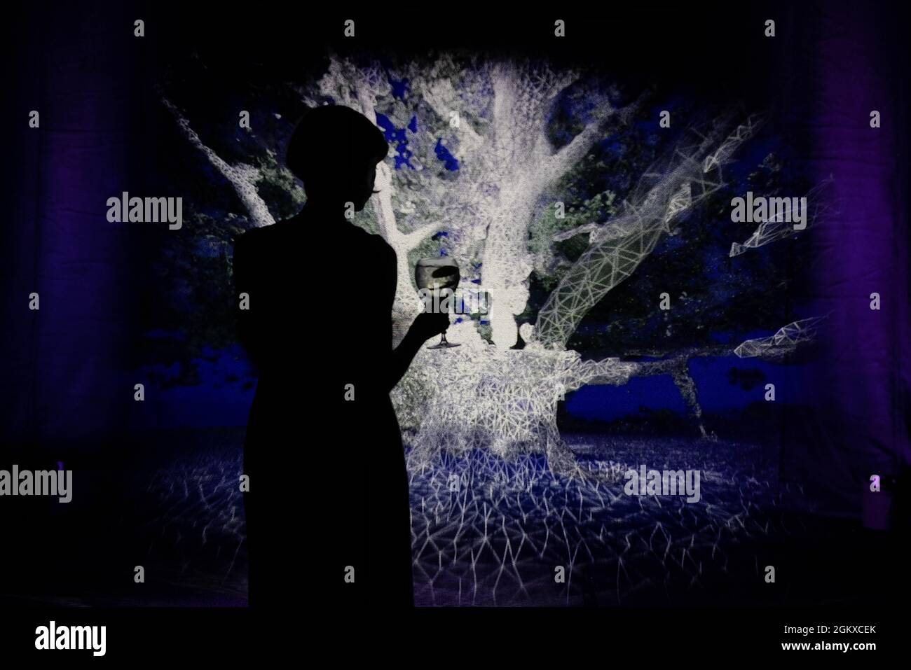 EDITORIAL USE ONLY A guest views O(A)K Computer by Jake Elwes at the ...