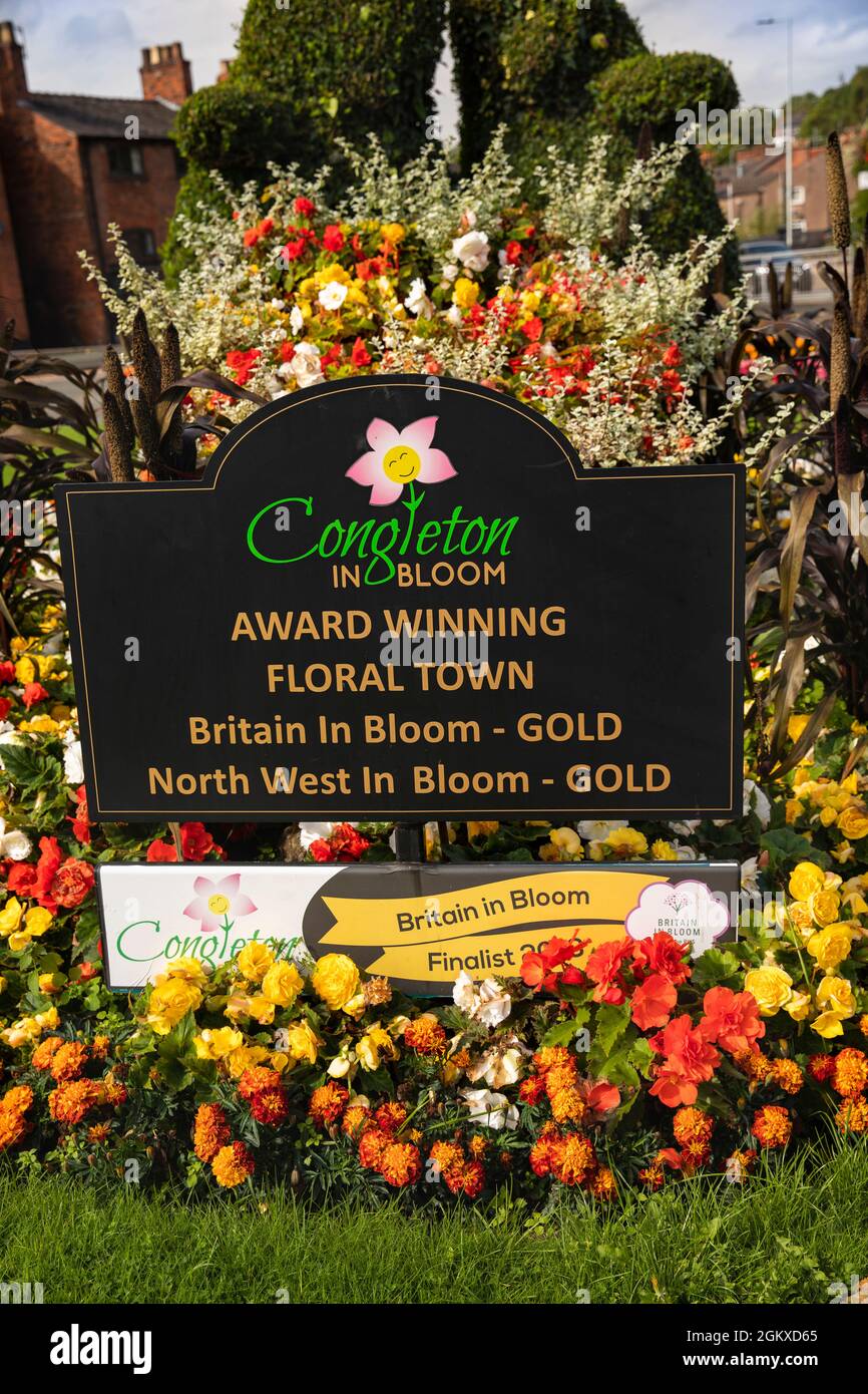 Award winning roundabout hi-res stock photography and images - Alamy