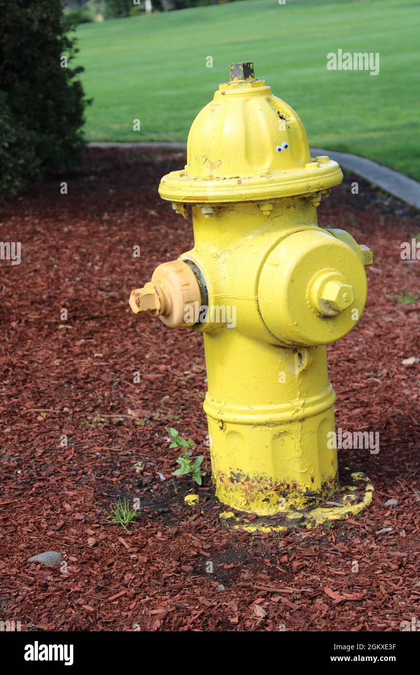 Vertical shot of a yellow fire hydrant in a park with a blurry ...