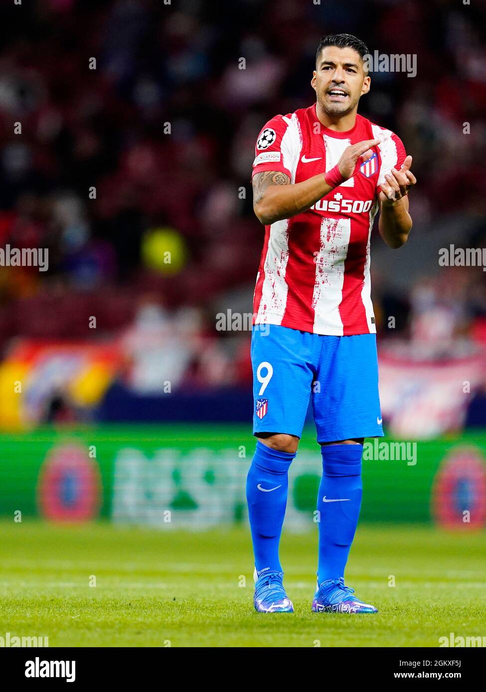 Luis Suarez of Atletico de Madrid during the UEFA Champions League ...