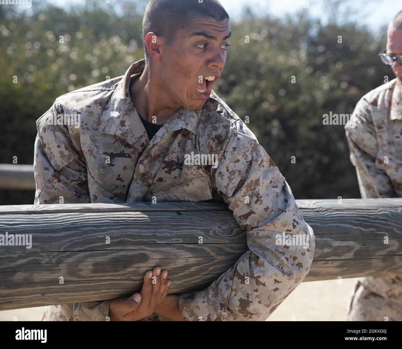 Log physical training hi-res stock photography and images - Alamy