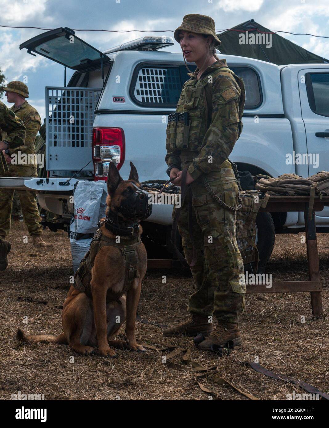 Australian police dog hi-res stock photography and images - Alamy
