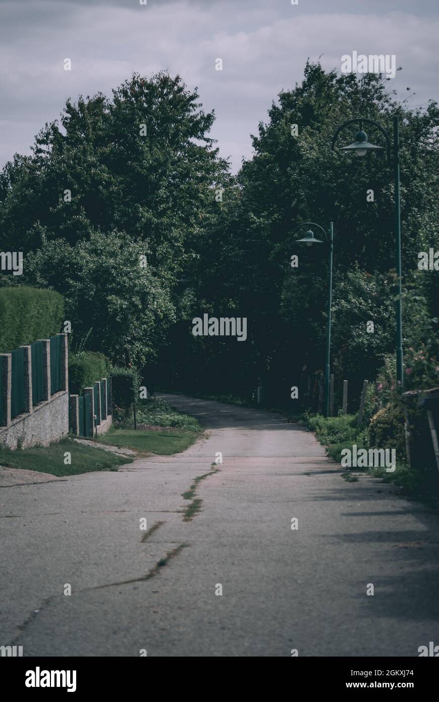 Vertical shot of an empty road with street lamps Stock Photo - Alamy