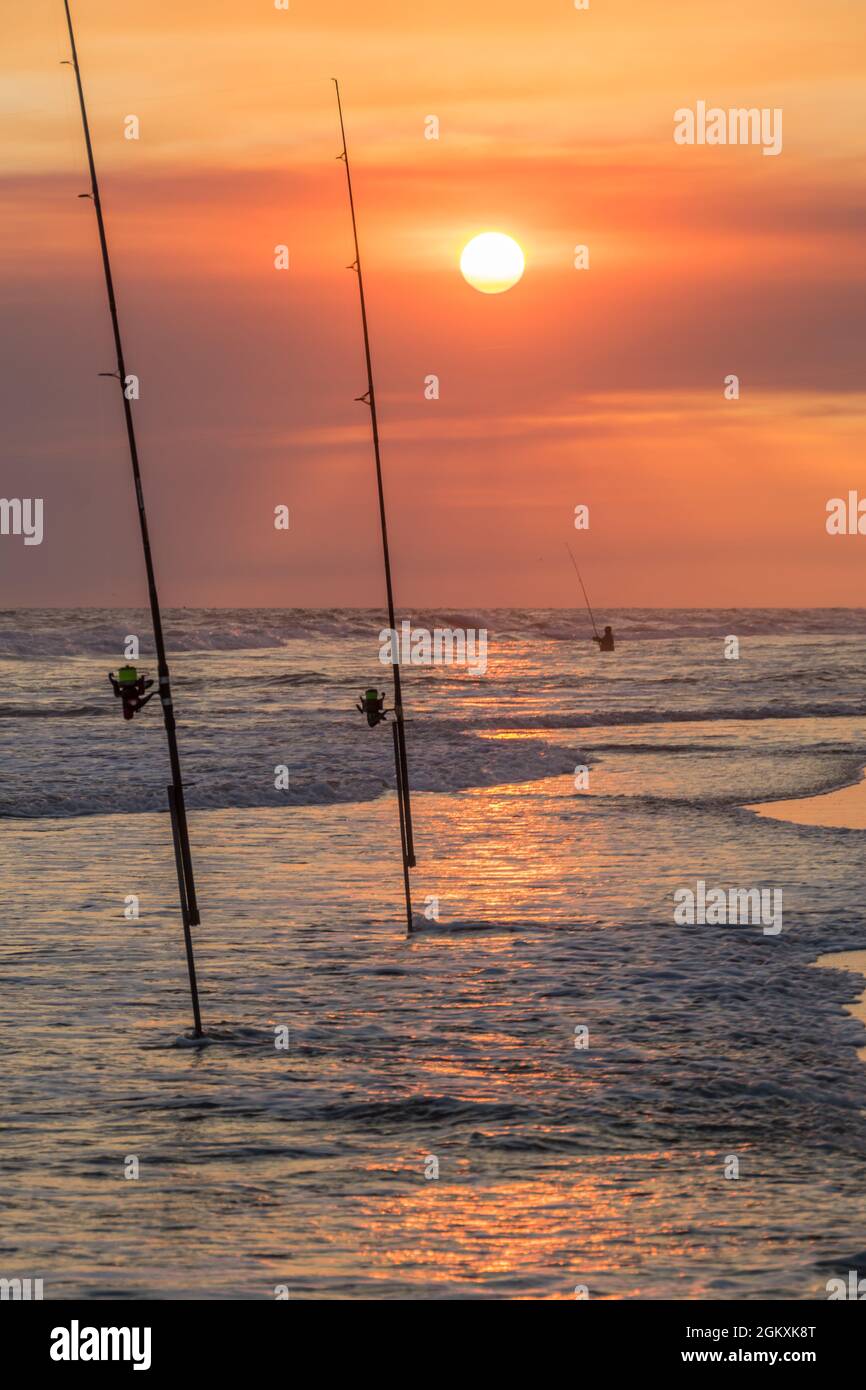 Fishing Rod Sunset