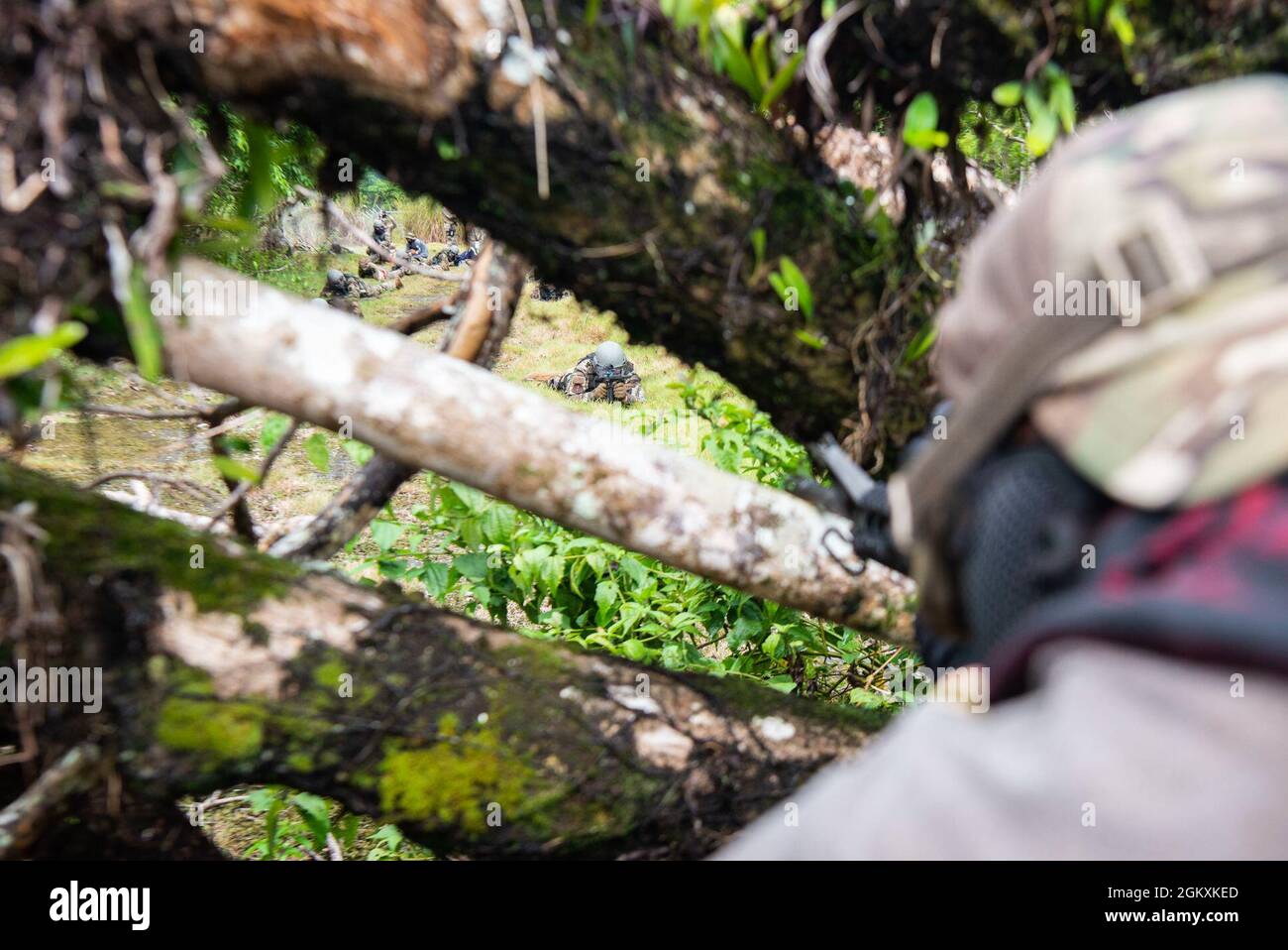 U.S. Air Force Airmen assigned to the 154th Fighter Wing, Hawaii Air ...