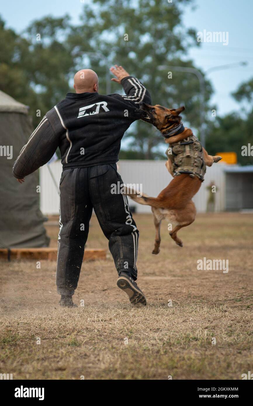 Australian Army Lance Corporal Codey Merlino and Military Police Dog ...