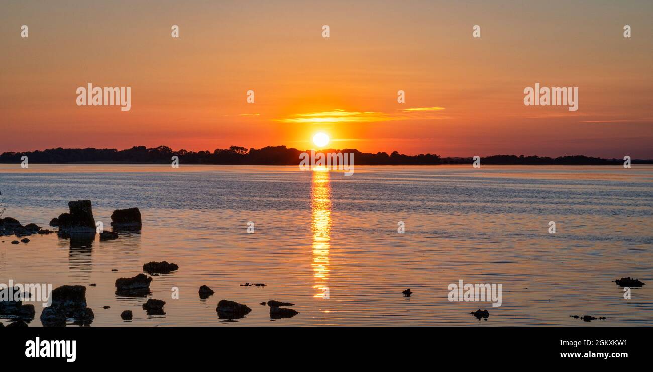 Ree silhouette hi-res stock photography and images - Alamy