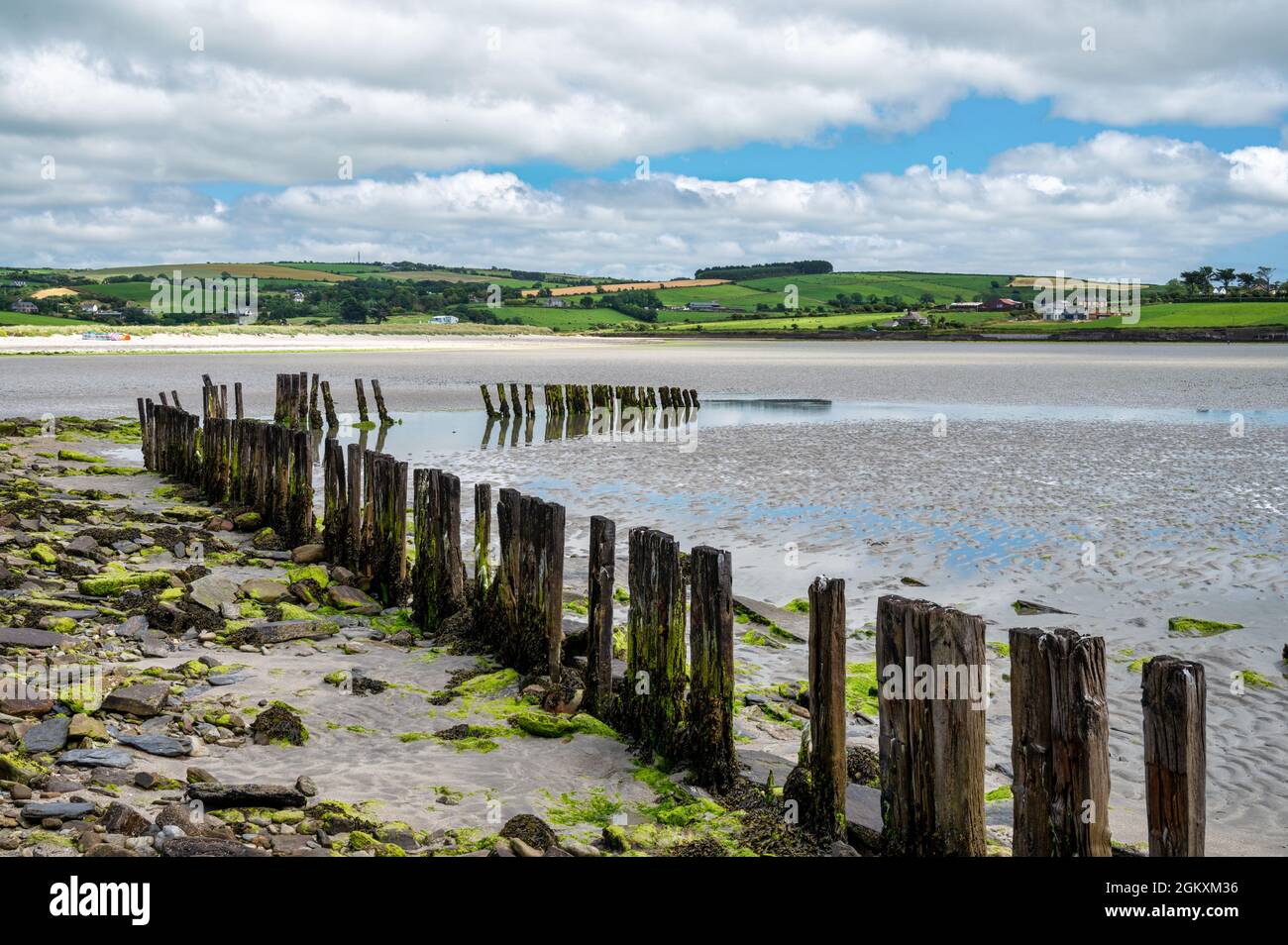 Harbour View Beach in County Cork Ireland at low tide Stock Photo - Alamy