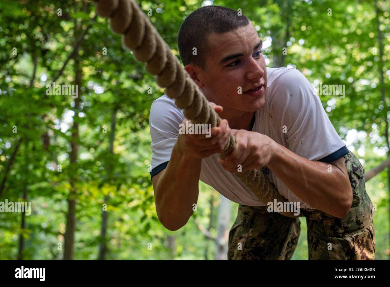 Plebe summer hi-res stock photography and images - Alamy