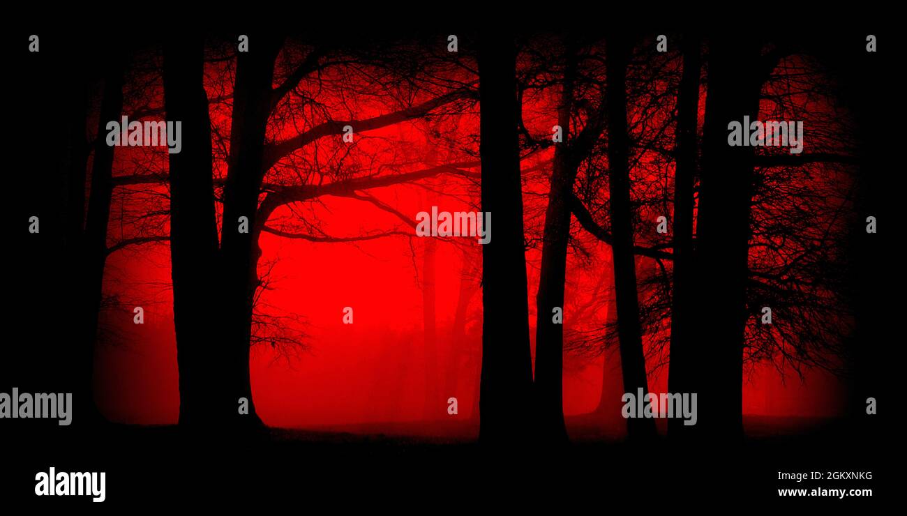 Burning bush illustration hi-res stock photography and images - Alamy