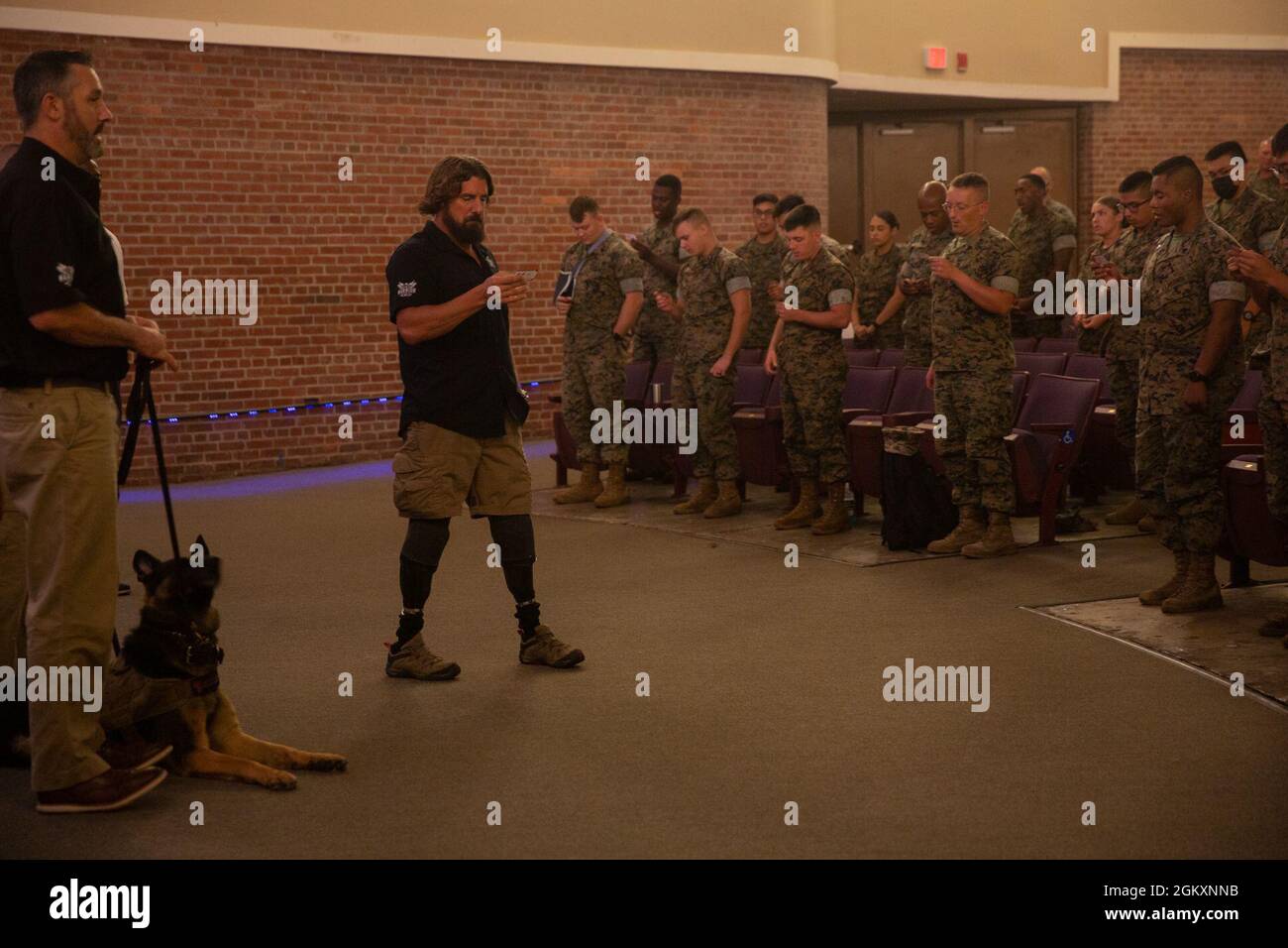 Mwhs 4 hi-res stock photography and images - Alamy