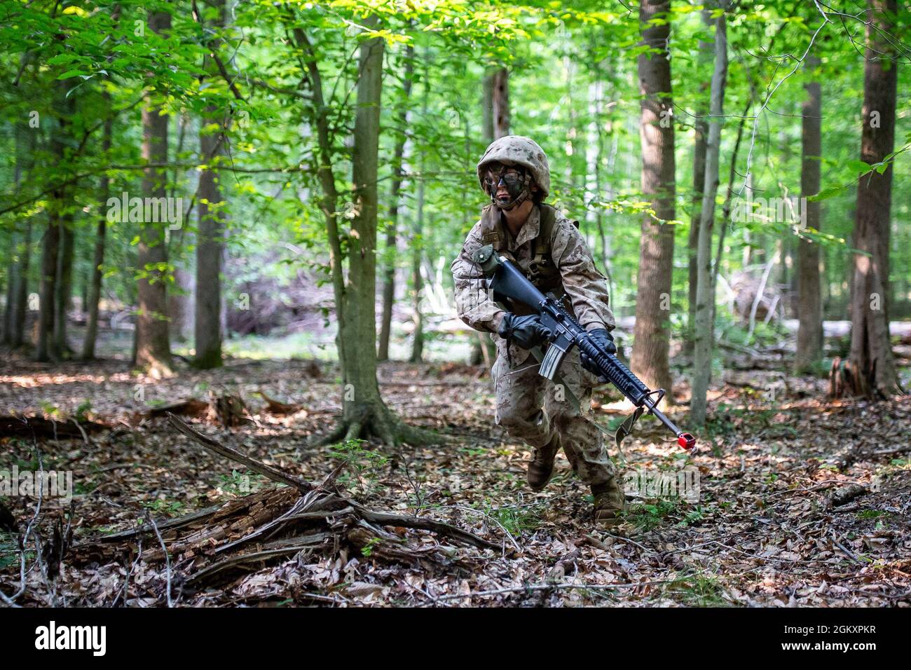 A U.S. Marine Corps officer candidate with Delta Company participates ...