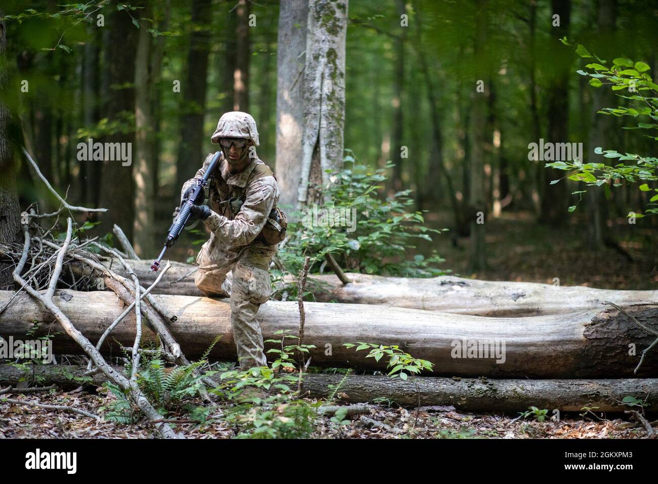 Small unit leadership hi-res stock photography and images - Alamy