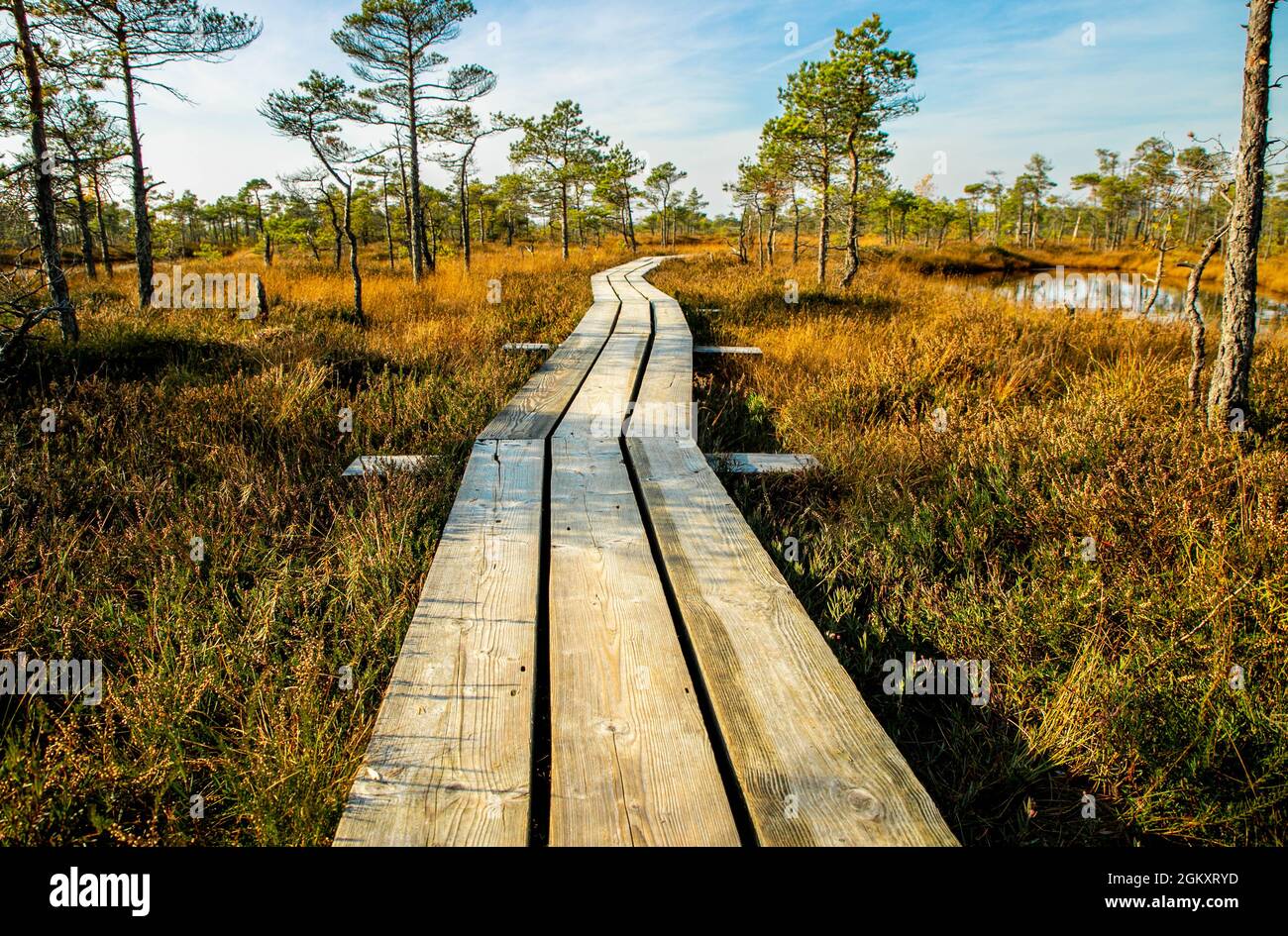 Education stock architecture hi-res stock photography and images - Alamy