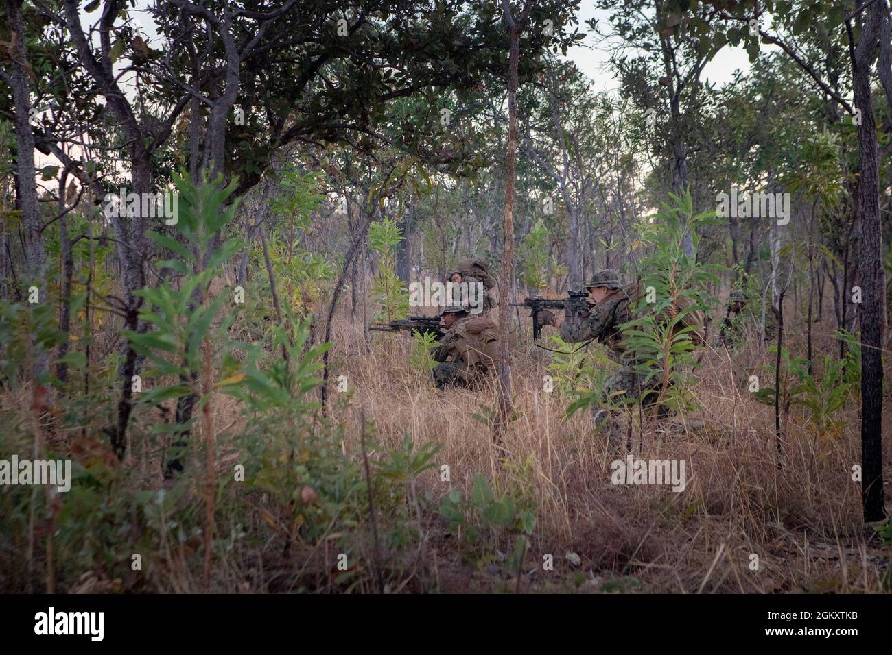 U.S. Marines with Company B., 1st Battalion, 7th Marine Regiment ...