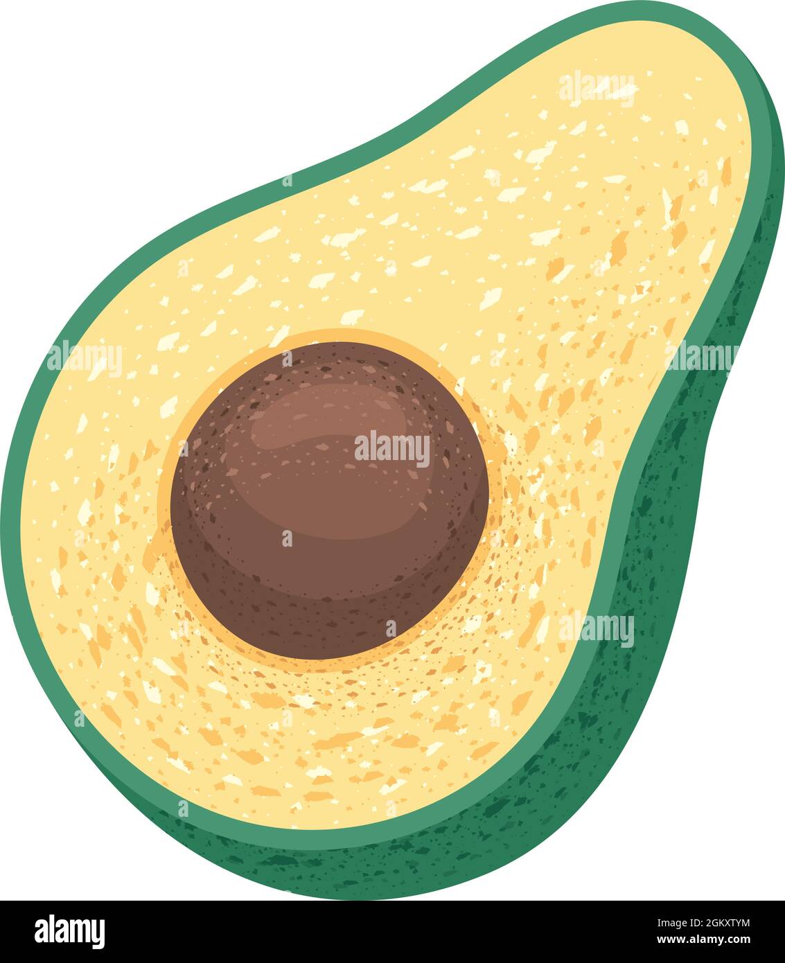 avocado slice illustration Stock Vector Image & Art - Alamy