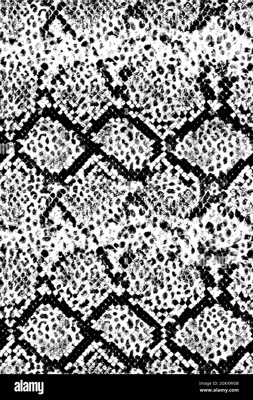 Snake skin pattern texture repeating seamless monochrome Texture snake ...