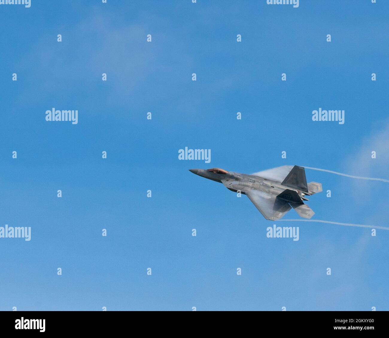 A U.S. Air Force F-22 Raptor assigned to the 199th Fighter Squadron ...