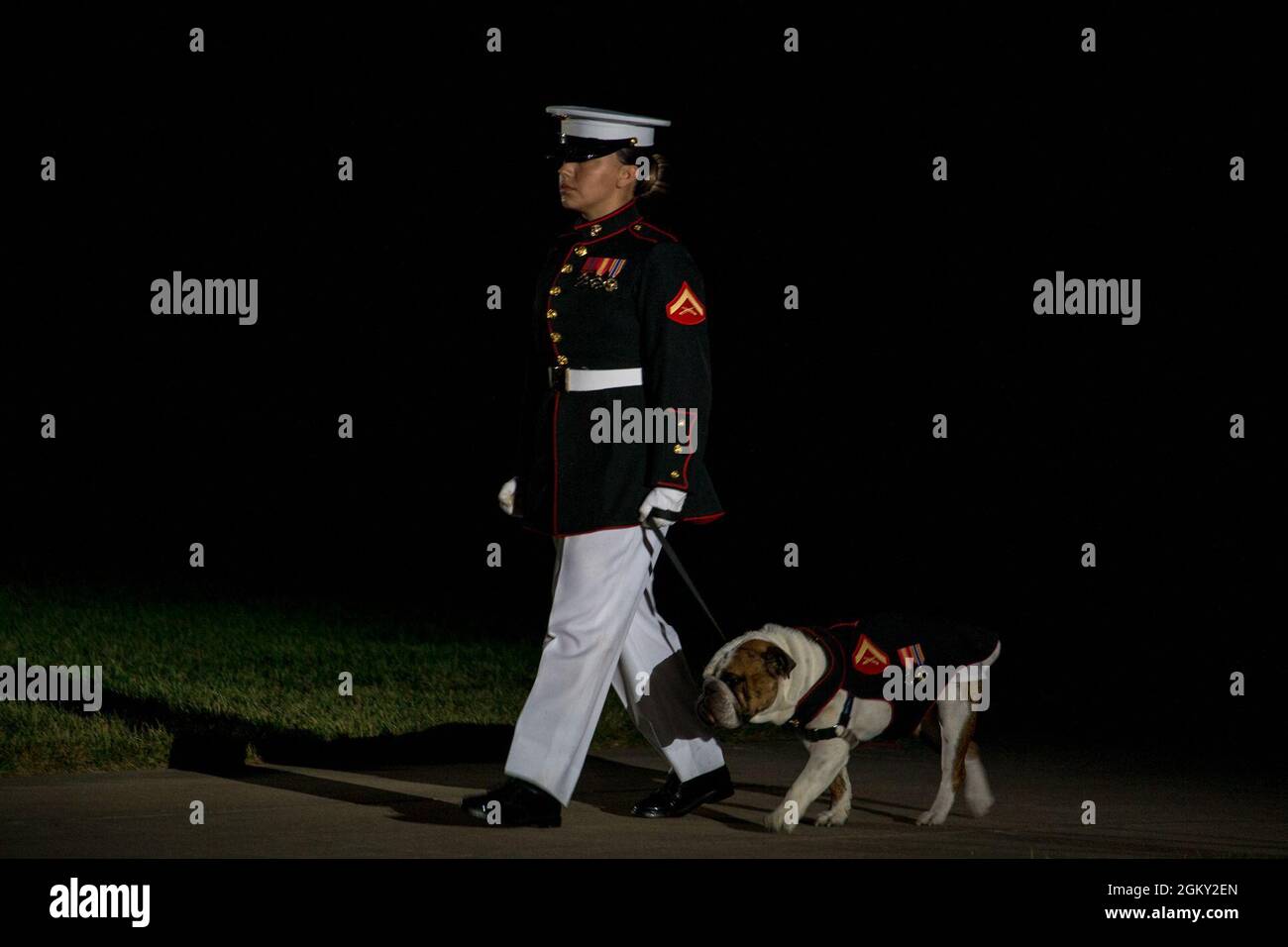 Lance Cpl. Rebecca Tongson, mascot handler, Marine Barracks Washington ...