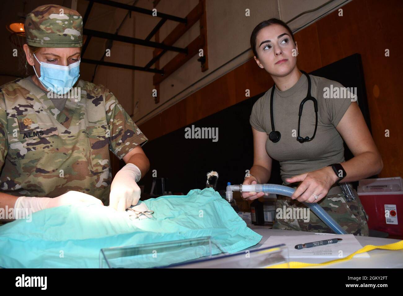 U.S. Army Reserve Maj. Emilee Alms, a veterinarian with the 7351st VET ...
