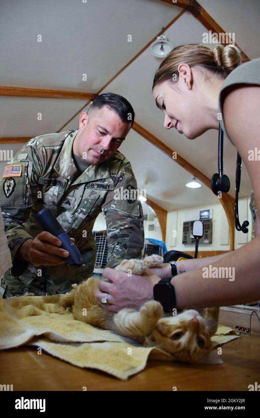 Native american army unit hi-res stock photography and images - Alamy