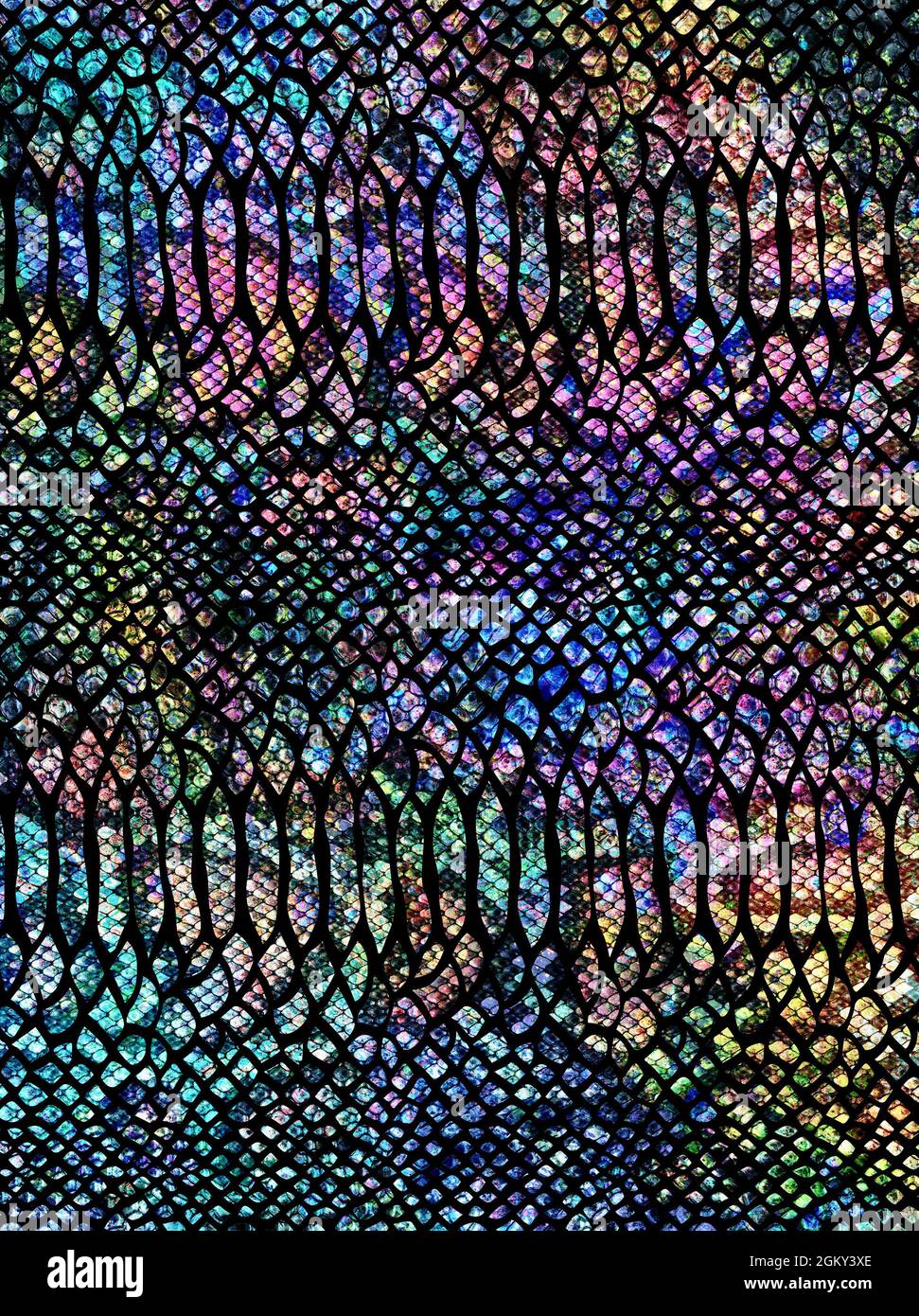 Colorful Snake Scales