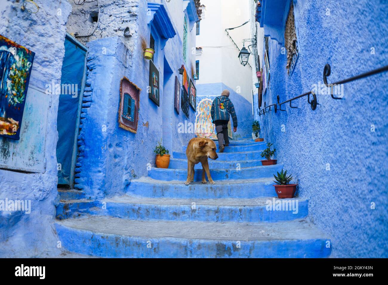 Street scene in the Chefchaouen, Morocco, Africa Stock Photo - Alamy