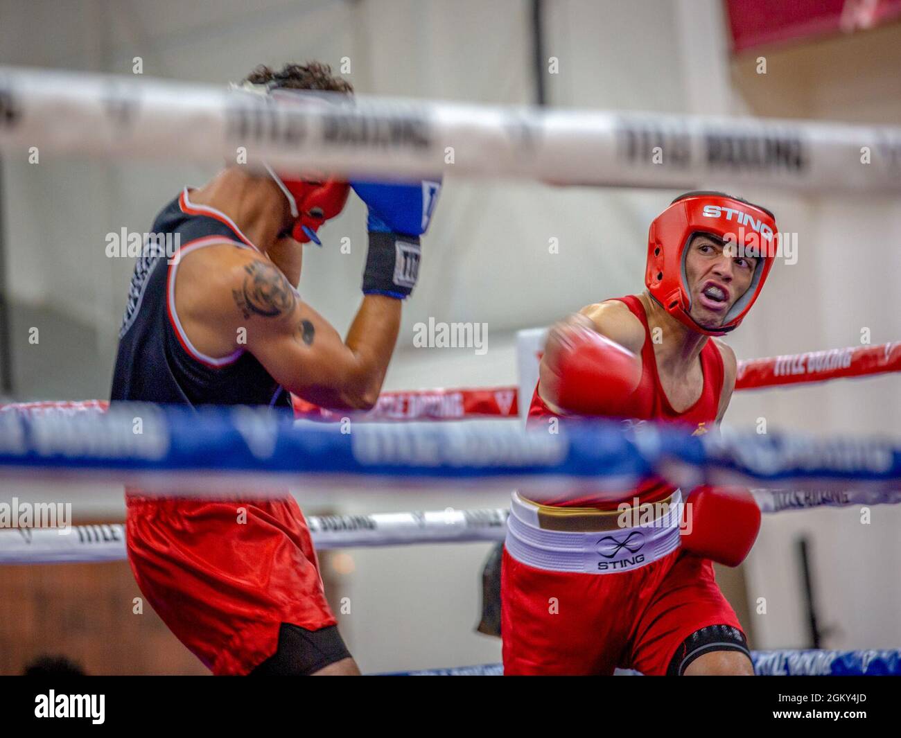 All marine boxing team hi-res stock photography and images - Alamy