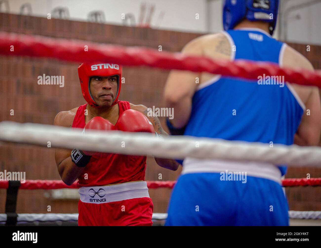 All marine boxing team hi-res stock photography and images - Alamy