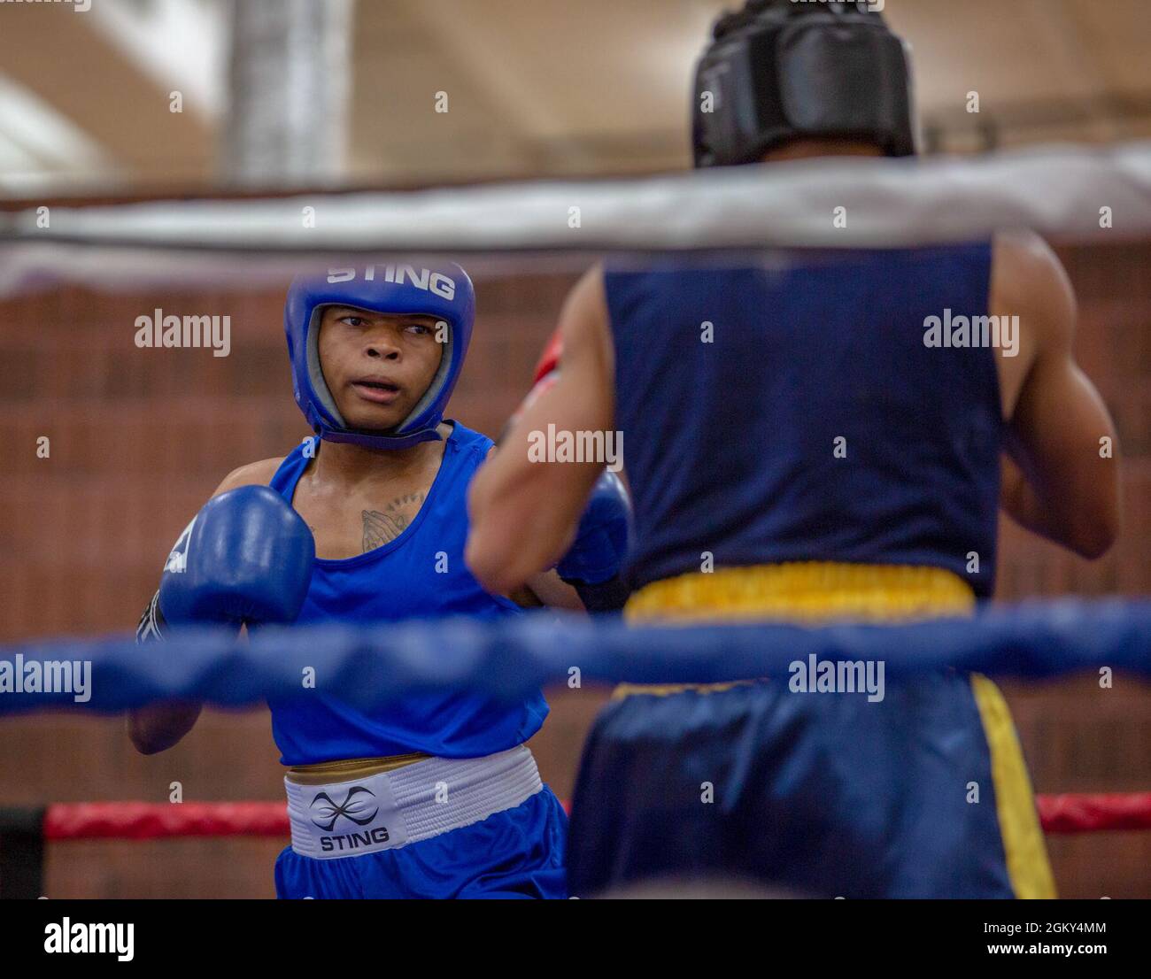 All marine boxing team hi-res stock photography and images - Alamy