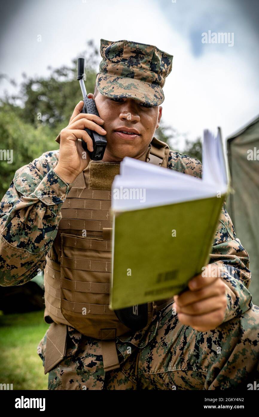 Luis haddock hi-res stock photography and images - Alamy