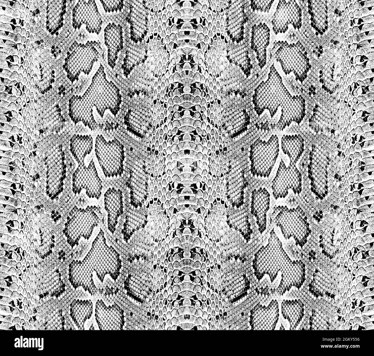 Zoological illustration Black and White Stock Photos & Images - Alamy